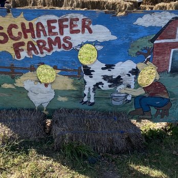 SCHAEFER FARMS - Updated December 2025 - 118 Photos & 33 Reviews - 1051 ...