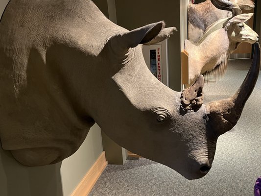 OAKES MUSEUM OF NATURAL HISTORY - Updated December 2025 - 50 Photos - 1 ...