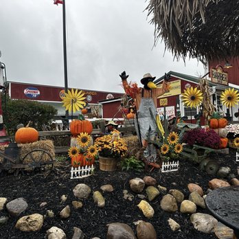 THREE CEDARS FARM - Updated December 2025 - 418 Photos & 149 Reviews ...