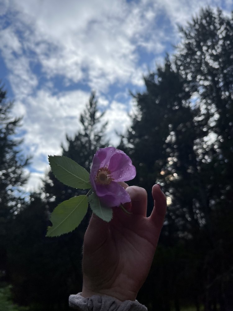 SUNSHINE - Updated February 2025 - Request Information - Terrace ...