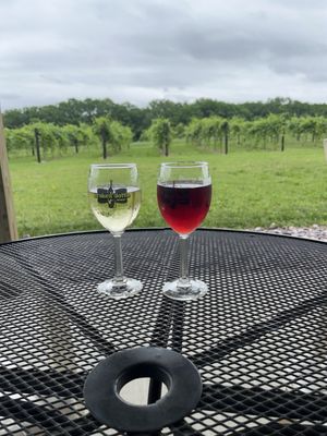 BROKEN BOTTLE WINERY - Updated January 2026 - 55 Photos & 24 Reviews - S2229 Timothy Ln ...