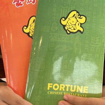 FORTUNE RESTAURANT - Updated December 2024 - 214 Photos & 208 Reviews ...