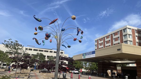 SCRIPPS MEMORIAL HOSPITAL LA JOLLA - Updated May 2025 - 400 Photos ...