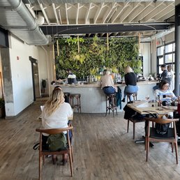 COLITA - Updated March 2025 - 1437 Photos & 583 Reviews - 5400 Penn Ave ...