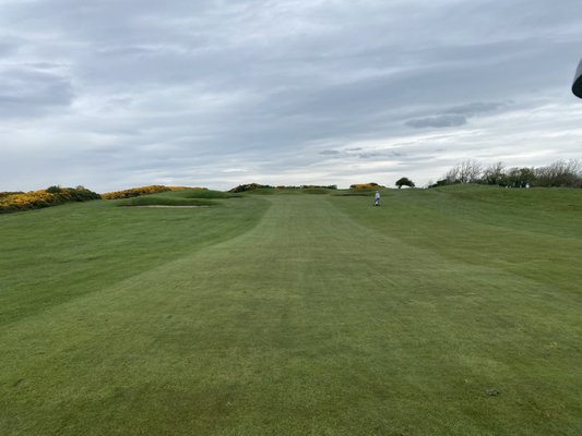 GALLOWAY NATIONAL GOLF CLUB - Updated September 2024 - 61 Photos - 270 ...