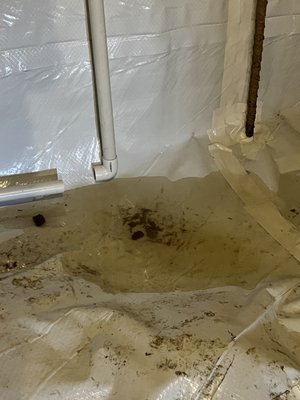 VALUE DRY WATERPROOFING - Updated April 2024 - 59 Photos & 52 Reviews ...