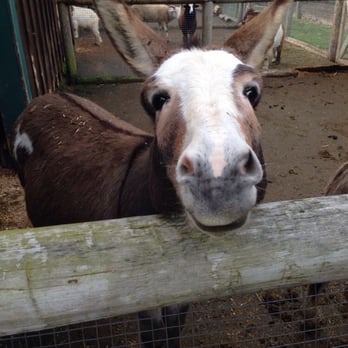 RIDIN-HY RANCH - Updated May 2025 - 82 Photos & 32 Reviews - 95 N ...