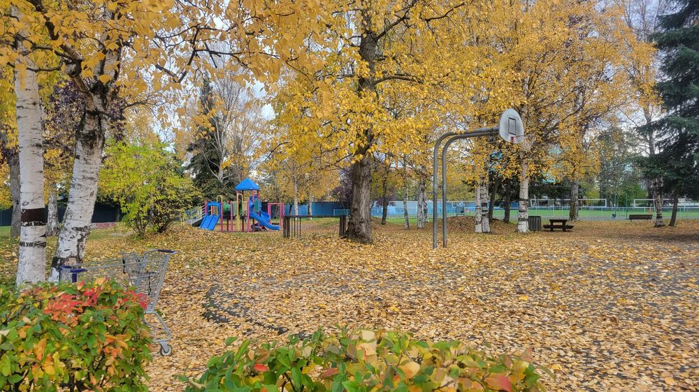 SPRINGER PARK - Updated July 2025 - 3809 Arctic Blvd, Anchorage, Alaska ...