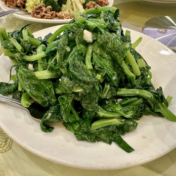 CANTON MANOR - Updated May 2024 - 465 Photos & 98 Reviews - 220-15 ...