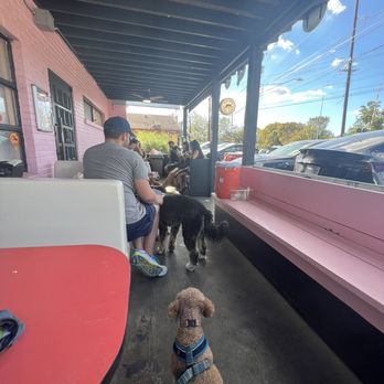 OMG SQUEE - 761 Photos & 310 Reviews - 4607 Bolm Rd, Austin, Texas ...