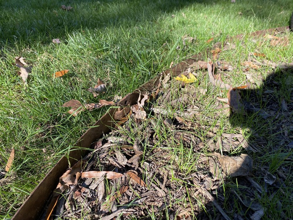 TOP TURF LAWN CARE AND PEST MANAGEMENT - Updated December 2024 - 45 ...