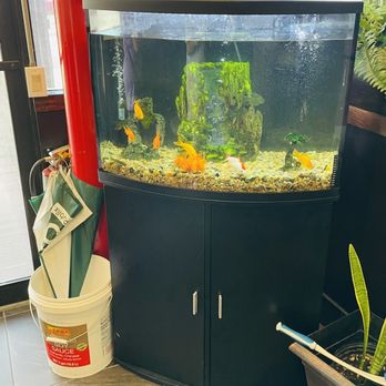 168 CHINESE RESTAURANT - Updated August 2025 - 157 Photos & 86 Reviews ...