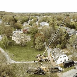 NEW ENGLAND TREE MASTERS - 36 Photos & 22 Reviews - 871 Massachusetts ...