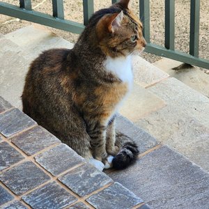 15 CRAIGSIDE - Updated October 2025 - 78 Photos - 15 Craigside Pl ...