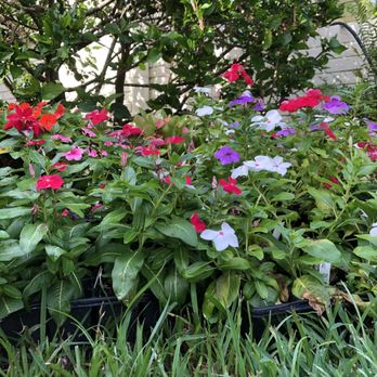 THE BUSHEL STOP - 173 Photos & 50 Reviews - 8596 W Atlantic Ave, Delray ...