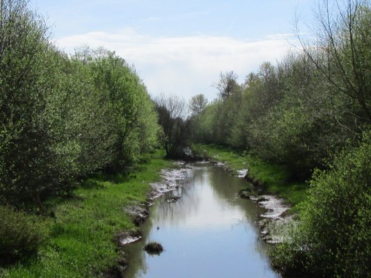 SPRINGBROOK TRAIL - Updated October 2025 - SW 27th St, Renton ...