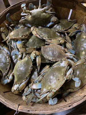 RUSTY CRABS - Updated September 2025 - 19 Photos - 60 Hickory Hill Rd ...