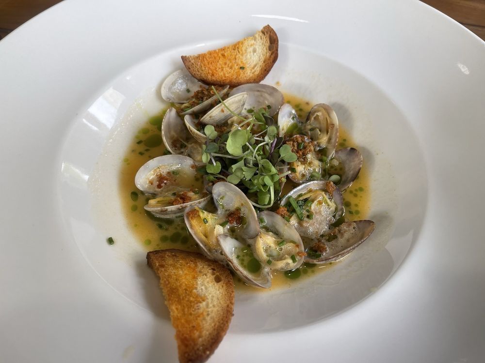 OCTOPUS BAJA - Updated June 2024 - 71 Photos & 50 Reviews - 2731 K St ...