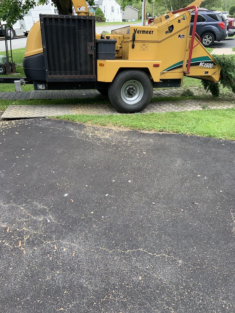 CECIL TREE SERVICES - Updated October 2025 - 120 Goosemar Road Ext ...