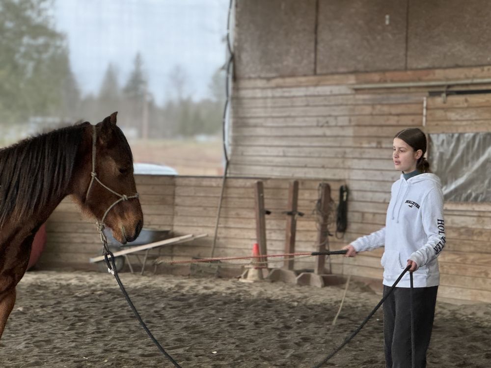 EVAN BONNER HORSEMANSHIP - Updated August 2025 - Sultan, Washington ...