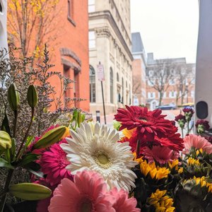 SCHAEFER WHOLESALE FLORIST - Updated August 2025 - 154 Photos - 2635 ...