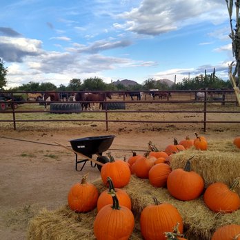 MACDONALD’S RANCH - Updated October 2024 - 478 Photos & 269 Reviews ...