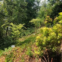 MONAGHAN’S LANDSCAPING - 58 Photos & 51 Reviews - Portland, OR - Yelp