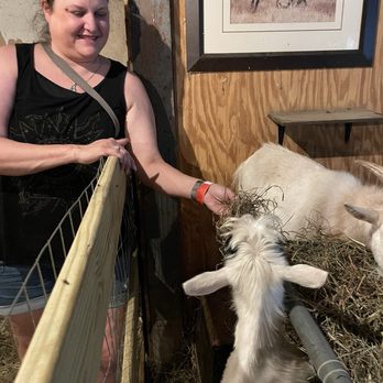 ROSE BRIDGE FARM & SANCTUARY - Updated September 2025 - 240 Photos & 86 ...