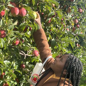 HARBES FAMILY FARM & VINEYARD - Updated July 2024 - 796 Photos & 277 ...