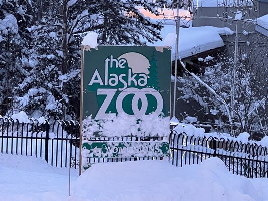 THE ALASKA ZOO - Updated August 2024 - 363 Photos & 131 Reviews - 4731 ...
