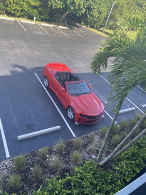 MIAMI CONVERTIBLES CAR RENTAL - Updated November 2024 - 54 Photos & 22 ...