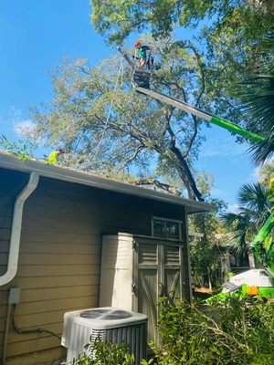 PEREZ TREE SERVICE - Updated October 2025 - 16 Photos - 1906 41st Ave ...
