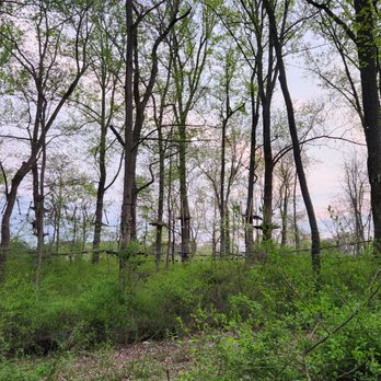 THE ADVENTURE PARK AT SANDY SPRING FRIENDS SCHOOL - Updated May 2025 ...