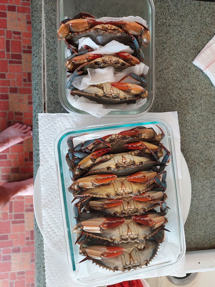 JUNIORS CRABS - Updated August 2025 - 202 S Main St, Seven Valleys ...