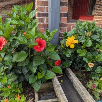 THE SALTY COD - Updated December 2025 - 283 Photos & 90 Reviews - 309 ...