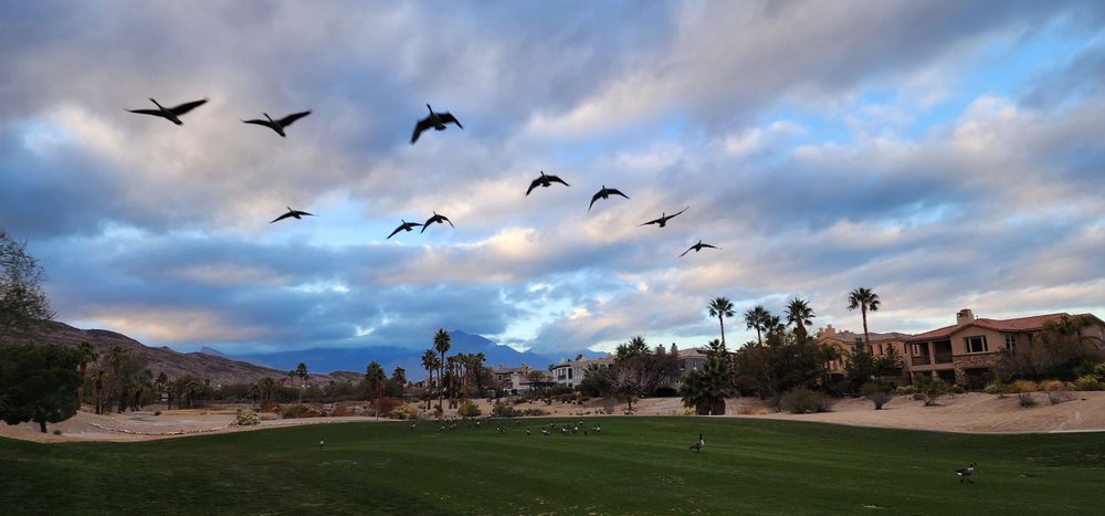 ARROYO GOLF CLUB - 34 Photos & 69 Reviews - 2250 C Red Springs Dr, Las ...