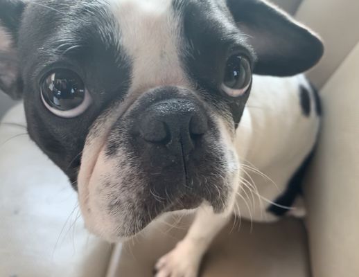 THE KAAWS CLINIC - 27 Photos & 123 Reviews - 17259 Fm 529, Houston, TX ...