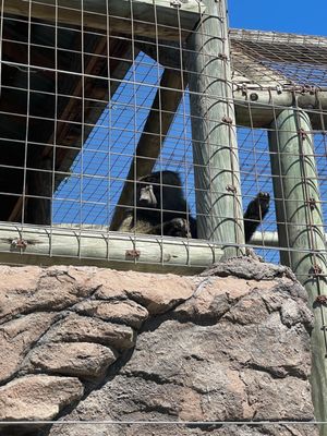 LAKE TOBIAS WILDLIFE PARK - Updated May 2025 - 373 Photos & 115 Reviews ...