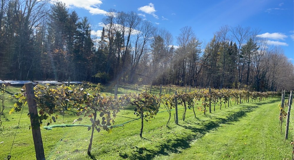 DRAGONFLY FARM AND WINERY - 22 Photos & 16 Reviews - 1069 Mullen Rd, Stetson, ME - Yelp