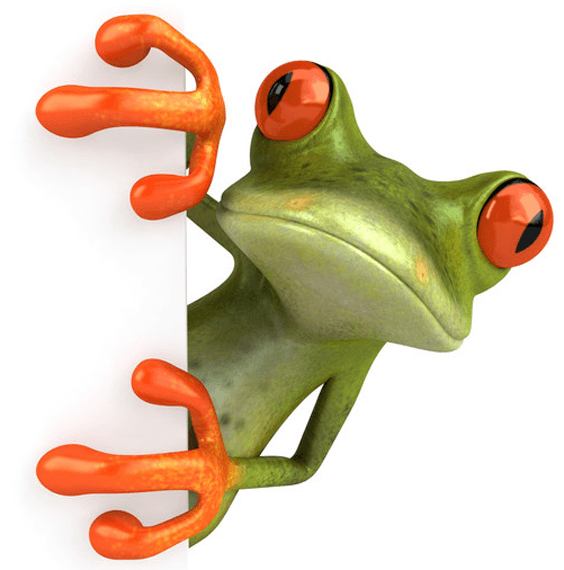 GREENFROG MOVERS - Updated March 2024 - 12 Barmstedt Dr, Oakham, Rutland, United Kingdom ...