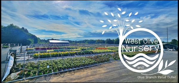 WEST OLIVE NURSERY - Updated October 2025 - 8661 146th Ave, West Olive ...