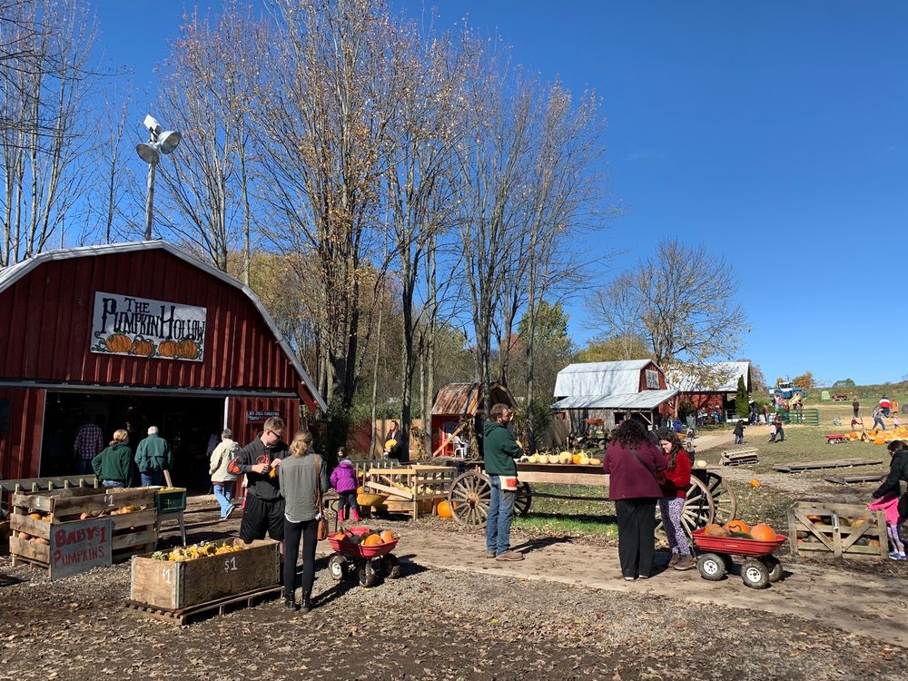 THE PUMPKIN HOLLOW - Updated October 2025 - 30 Photos - 3735 W Seneca ...