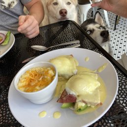 LUCY IN THE RYE - Updated December 2024 - 176 Photos & 102 Reviews ...