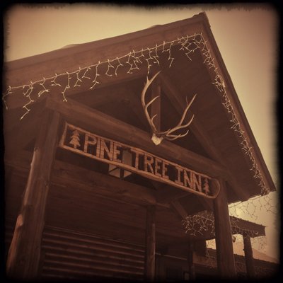 PINE TREE INN - Updated October 2025 - 18 Photos & 16 Reviews - 7796 ...