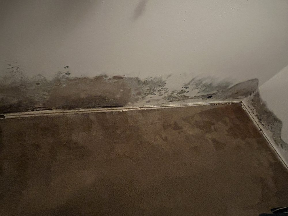 NORTHWEST CORNERS APARTMENTS - Updated January 2026 - 225 Photos & 12 ...