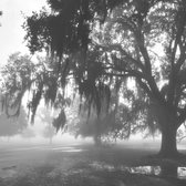 MANDEVILLE LAKEFRONT - Updated December 2025 - 86 Photos & 11 Reviews ...