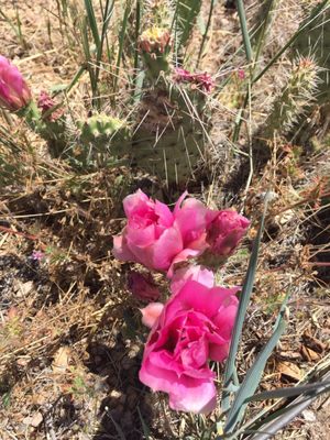 FORT VASQUEZ MUSEUM - Updated December 2025 - 24 Photos - 13412 US ...