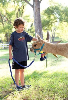 HUDDIN HOMESTEAD FUN FARM - 18 Photos - 1666 FM1141, Rockwall, TX - Yelp