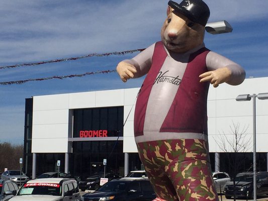 BOOMER KIA - Updated December 2025 - 51 Photos & 95 Reviews - 339 SW ...