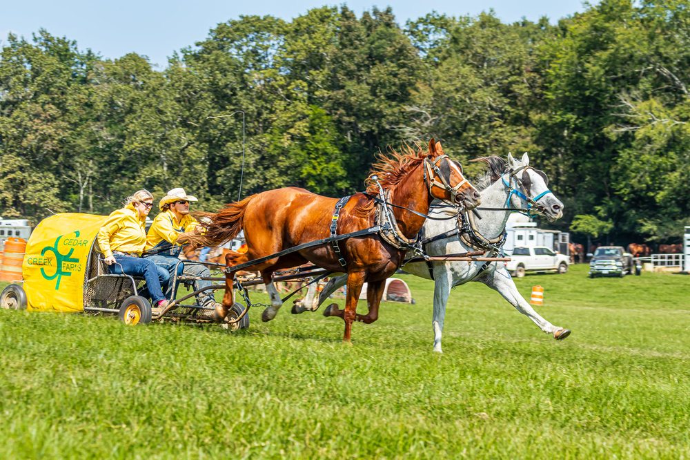 WHISKEY RIDGE RANCH - Updated July 2025 - 22 Photos - 26338 Hwy 84 ...